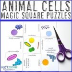 Animal Cells Activity or Game for Life Science Lesson or Review - HoJo ...