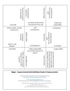 Animal Cells Activity or Game for Life Science Lesson or Review - HoJo ...