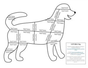 EDITABLE Dog Puzzle | Make your own ACTIVITY for Fire Safety Week ...