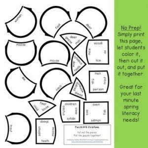 IRREGULAR PLURAL NOUNS Flower Puzzle | Spring Activities for Literacy ...