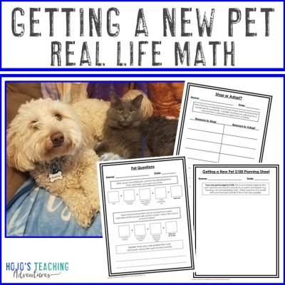 Real Life Math: Getting a Pet - HoJo's Teaching Adventures, LLC
